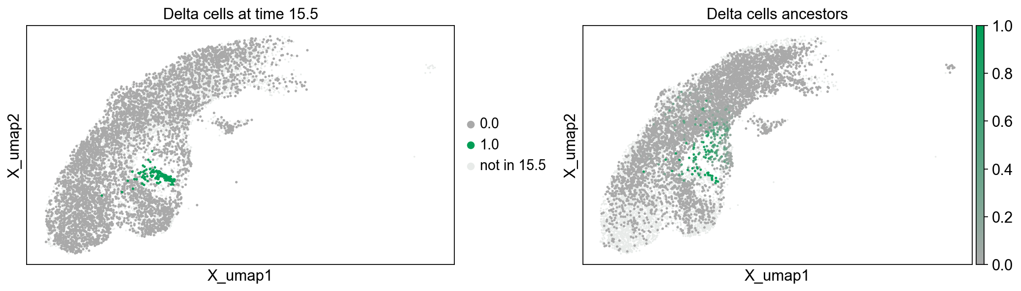 Disentangling lineage relationships of delta and epsilon cells in ...